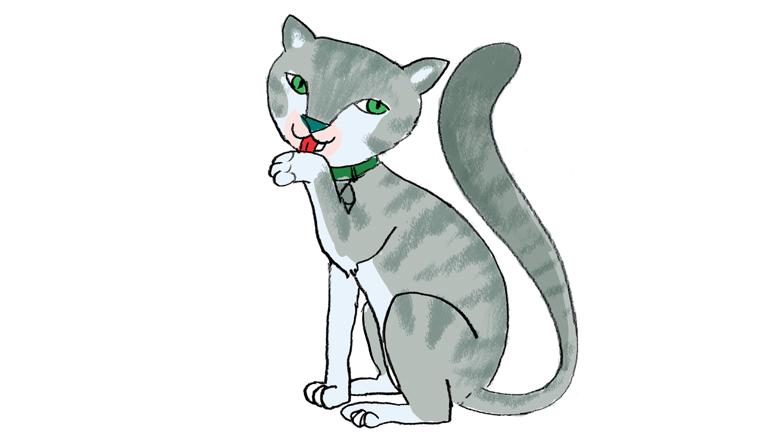 Lesson 1: Uncle Phil's Pet Shop