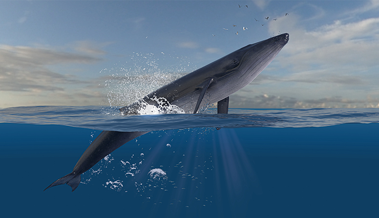 Pisano zbrajanje brojeva do 1000