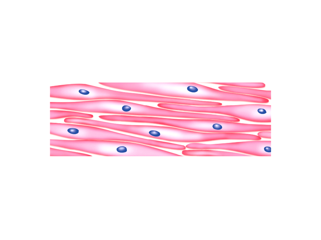 Od atoma do biosfere