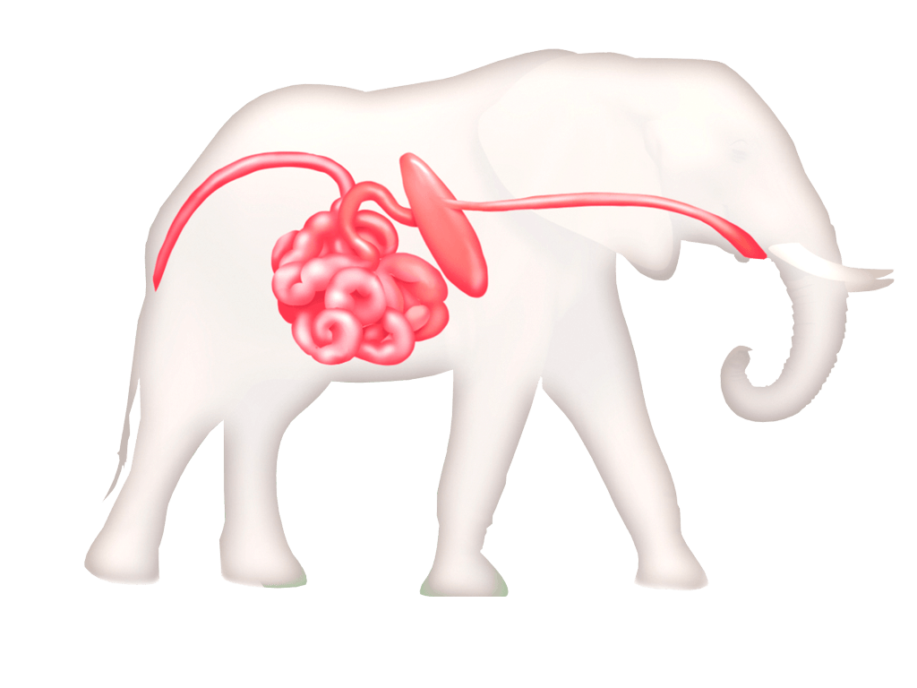 Od atoma do biosfere