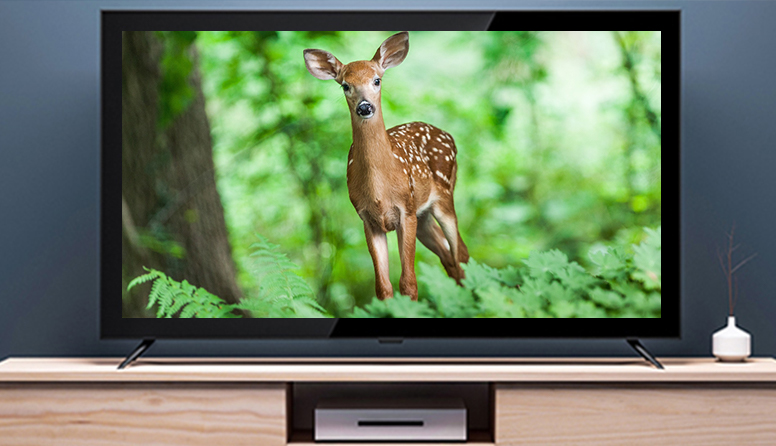 Filmovi (vrste i karakteristike)