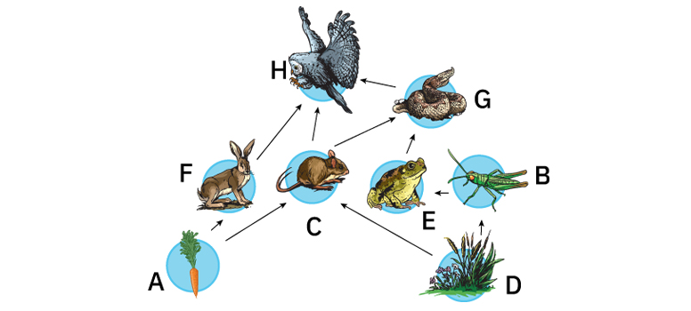 Prijedlog inicijalne provjere znanja