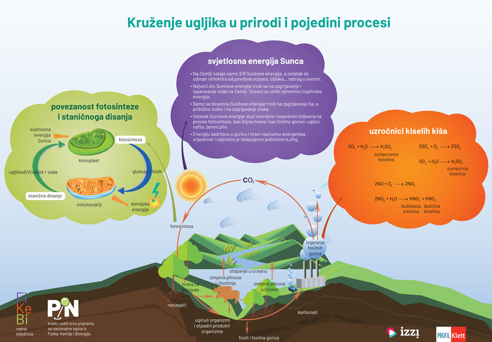 Kruženje ugljika u prirodi i pojedini procesi