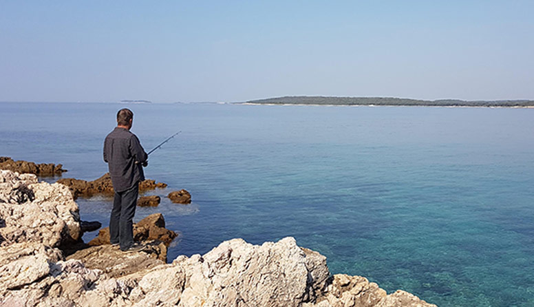 Glagoli − radnja, stanje, zbivanje