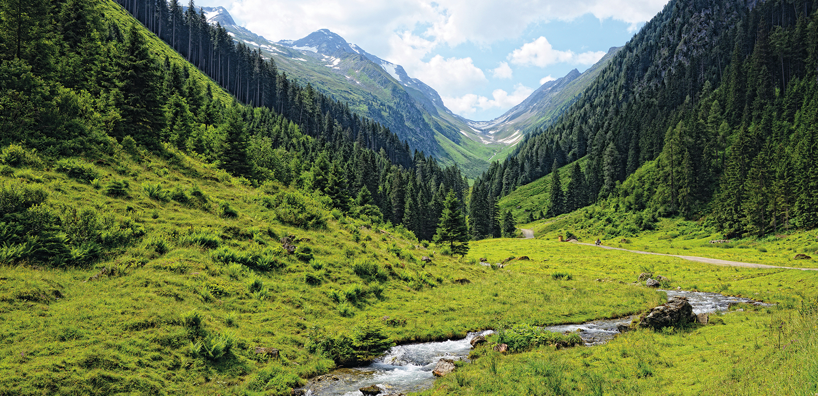 Wenn wir in Tirol sind