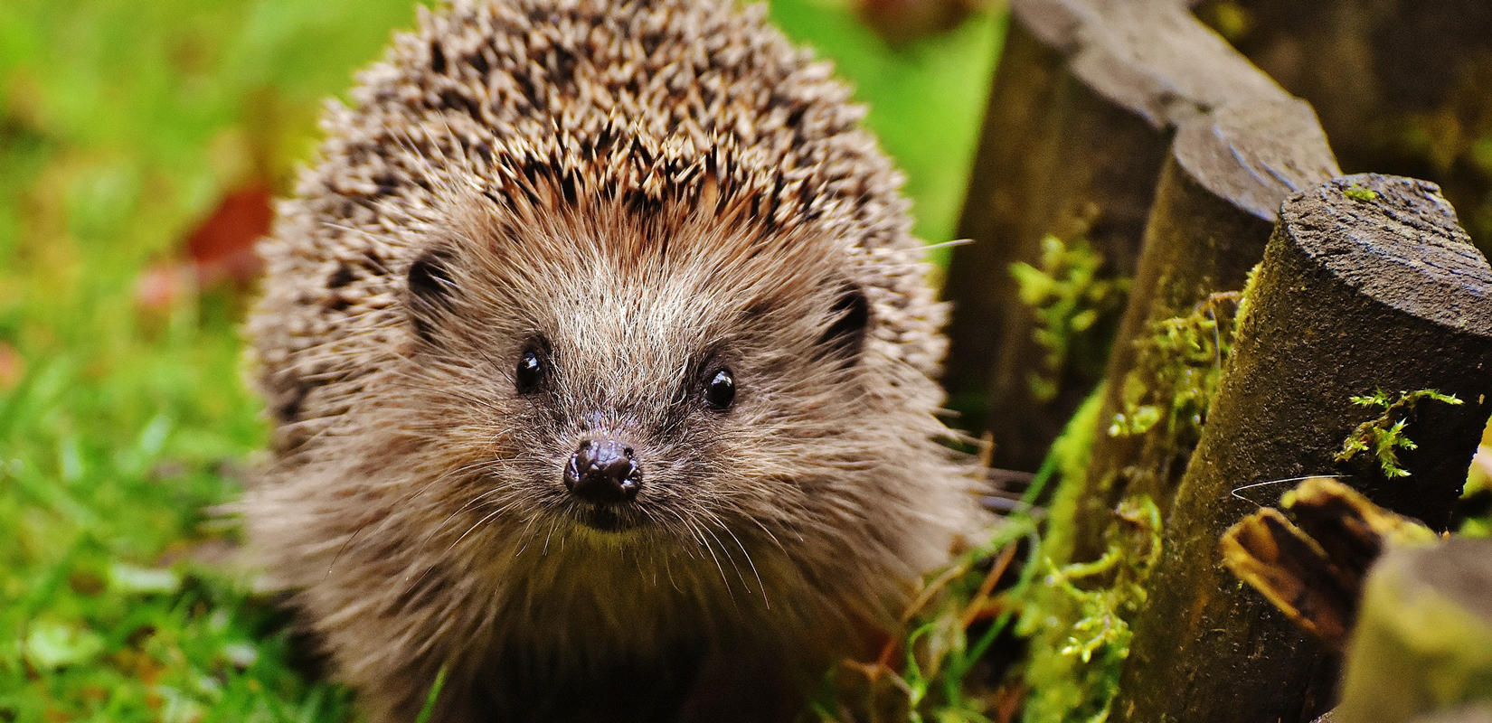 Staništa su različita